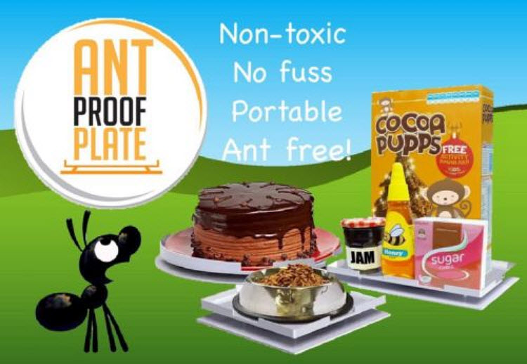 Amazing Ant Proof Plates are Here! – Cool Coats AU